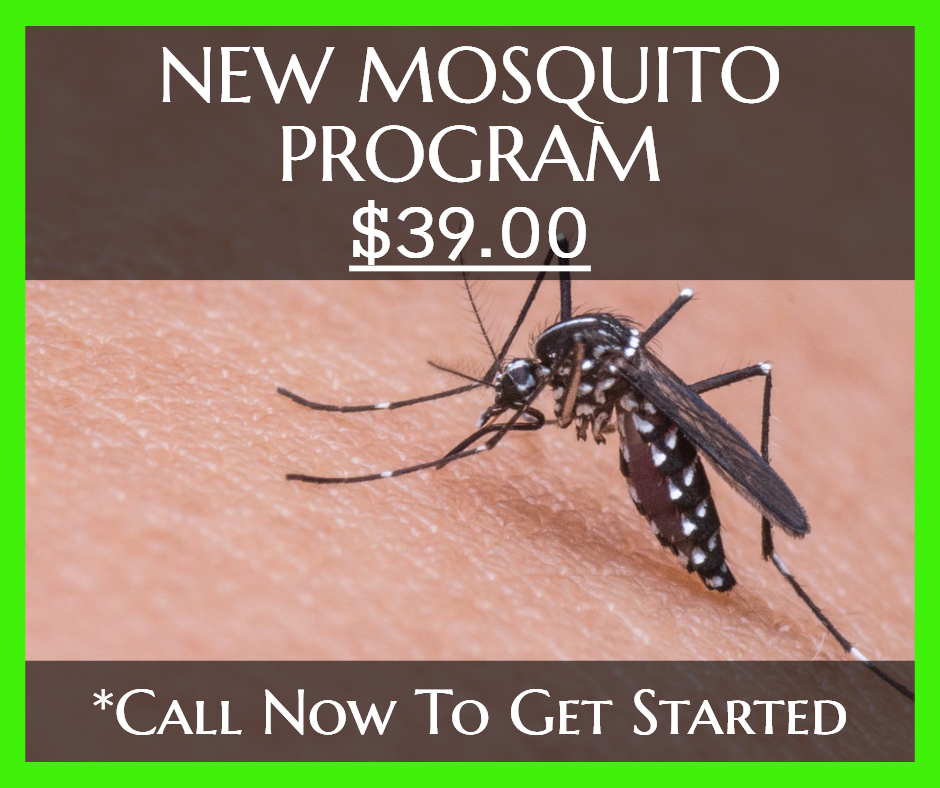 CALL: 405 321-4643 – GREEN LAWN CARE